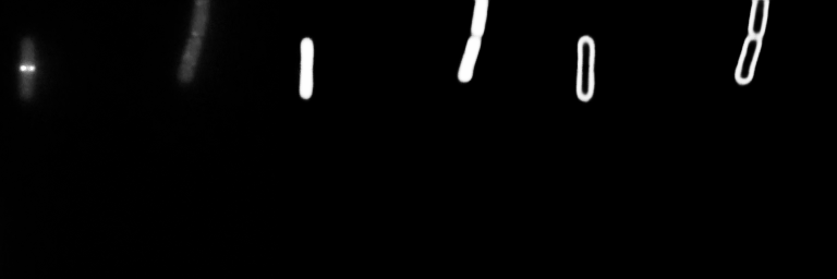 BioImage.IO - Model Zoo