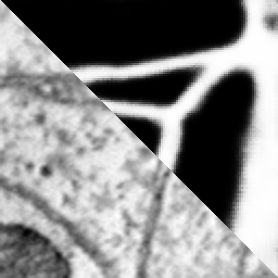 BioImage.IO - Model Zoo