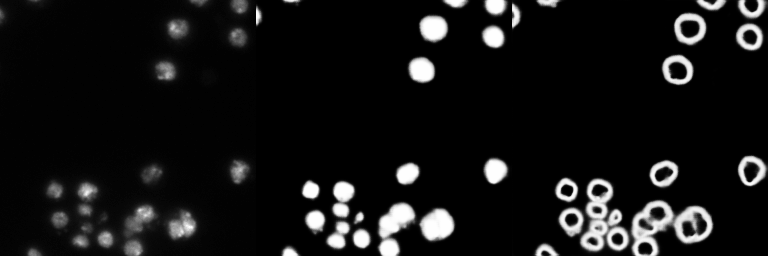 BioImage.IO - Model Zoo