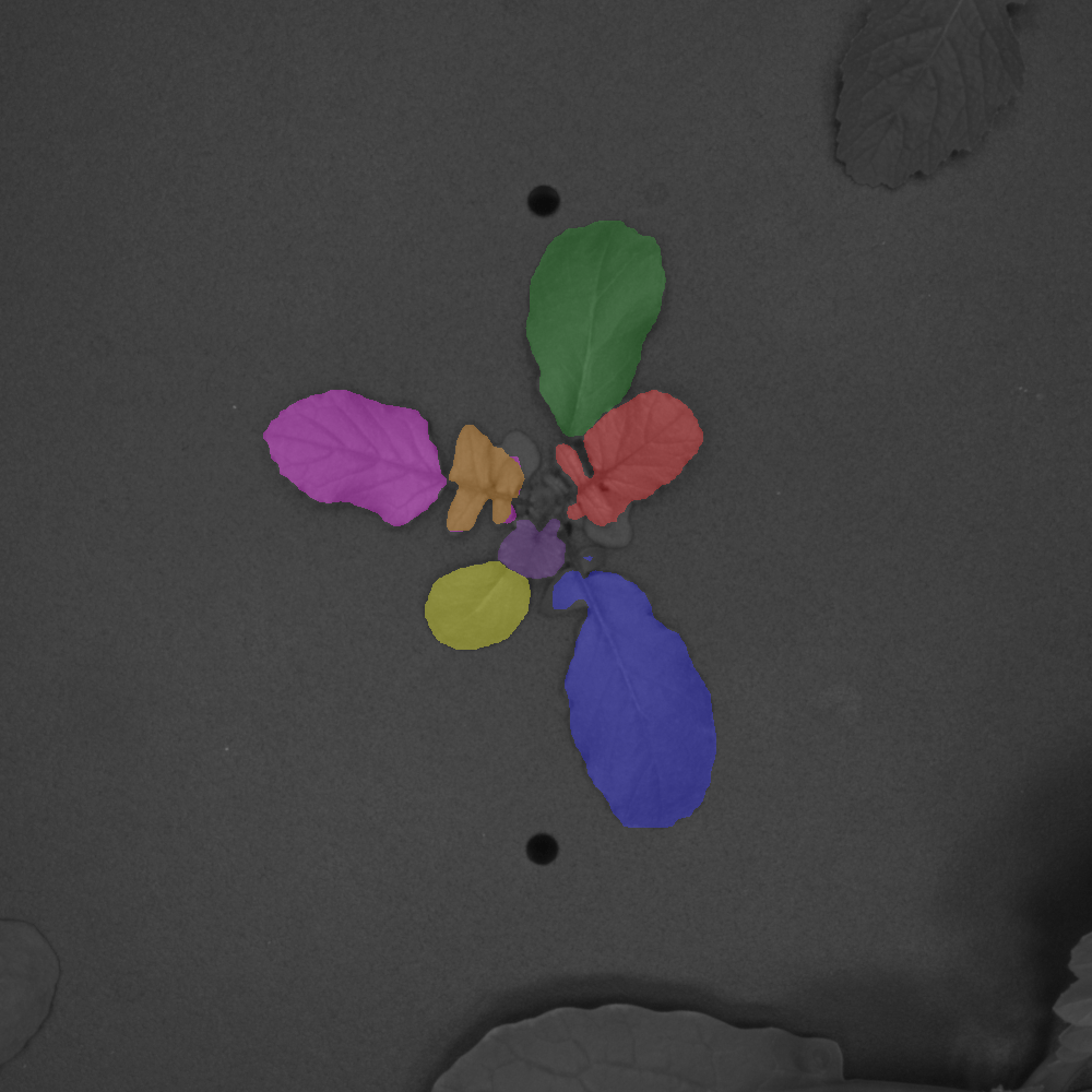 BioImage.IO - Model Zoo